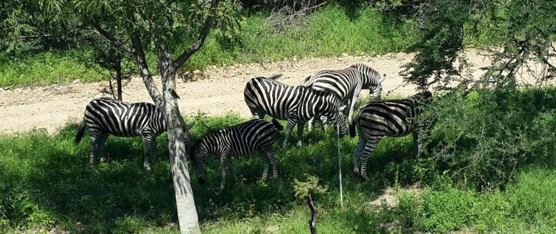 Kruger Riverside Lodge - Marloth Park - South Africa – Kruger Riverside ...