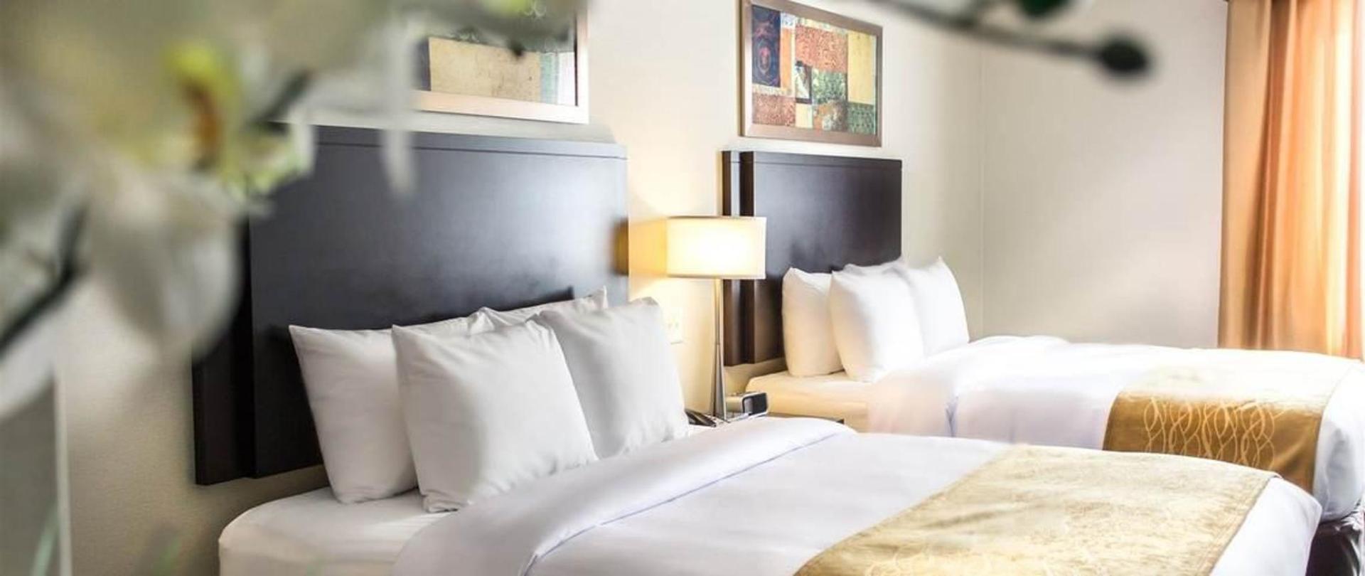 Comfort Hotel Bayer's Lake - Halifax, NS - Canada